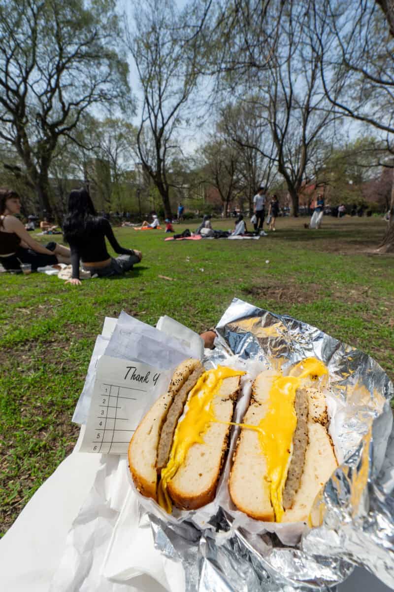 10 Best Bagels in NYC You Can’t Get Elsewhere | Your Local's Guide