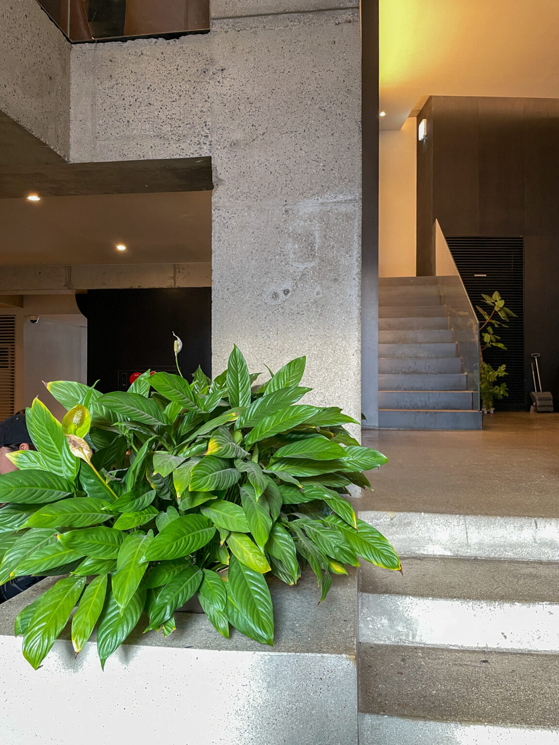 Best Shopping in Hannam (Trendy & Hip Seoul Brands!) | Your Local's Guide