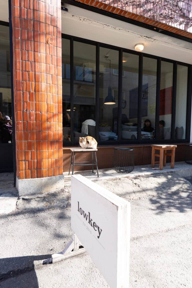19 Best Things To Do in Seongsu-dong (The Brooklyn of Seoul!) | Your ...