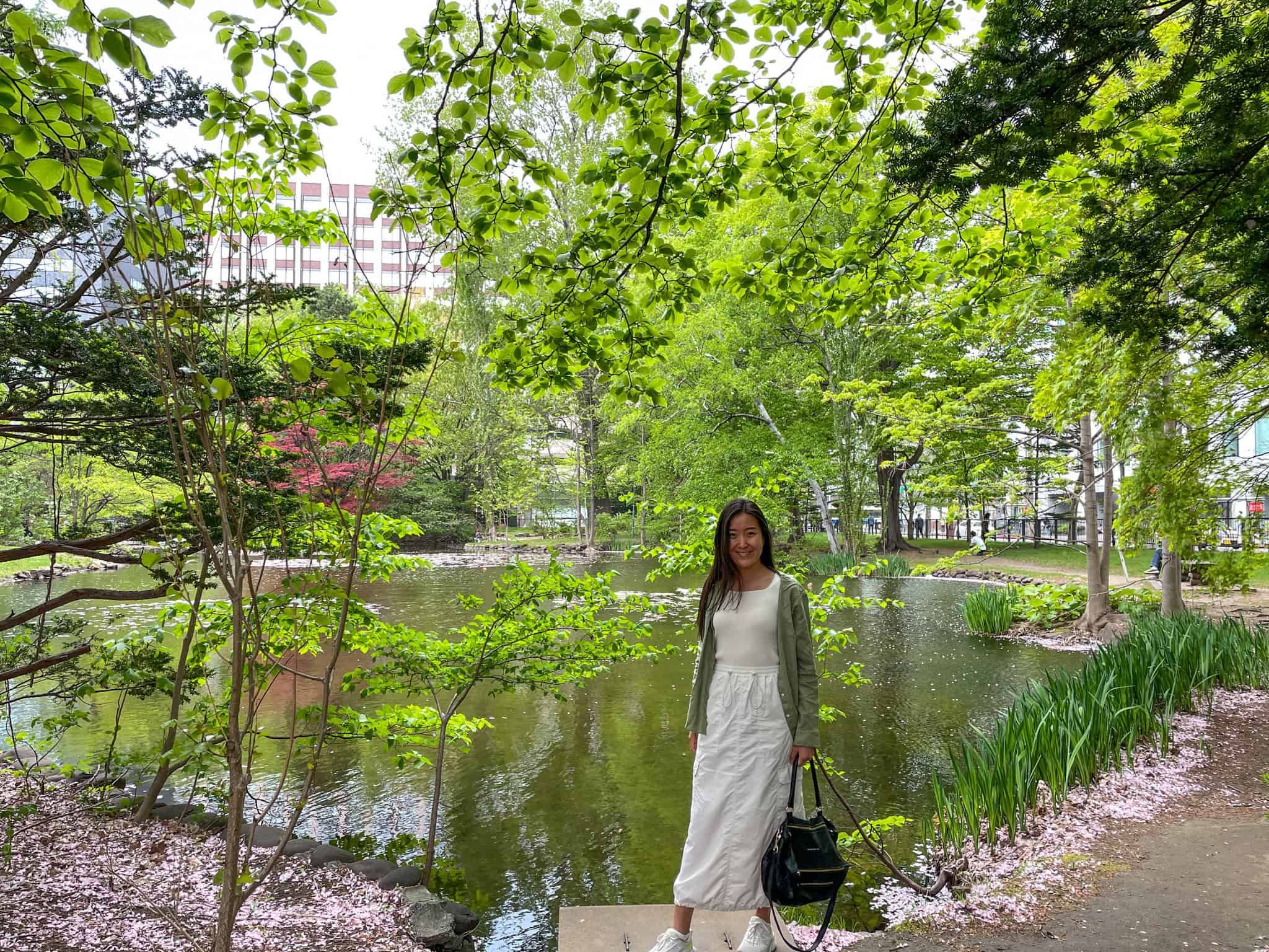 South Korean Trees | 10 Major Species in Korea's Forests | Your Local's ...