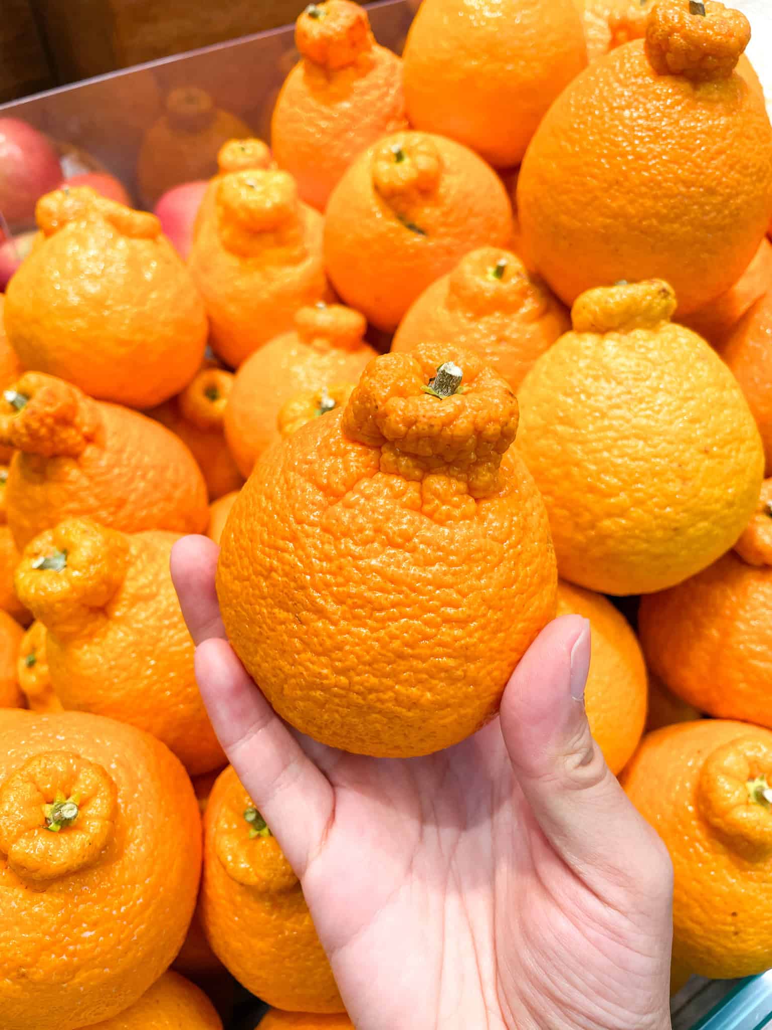 15 Popular South Korean Fruits You Gotta Try (From a Korean!) | Your ...