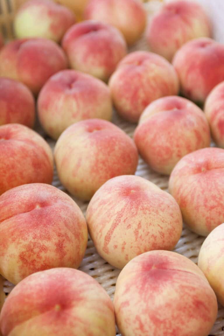 15 Popular South Korean Fruits You Gotta Try (From a Korean!) | Your ...