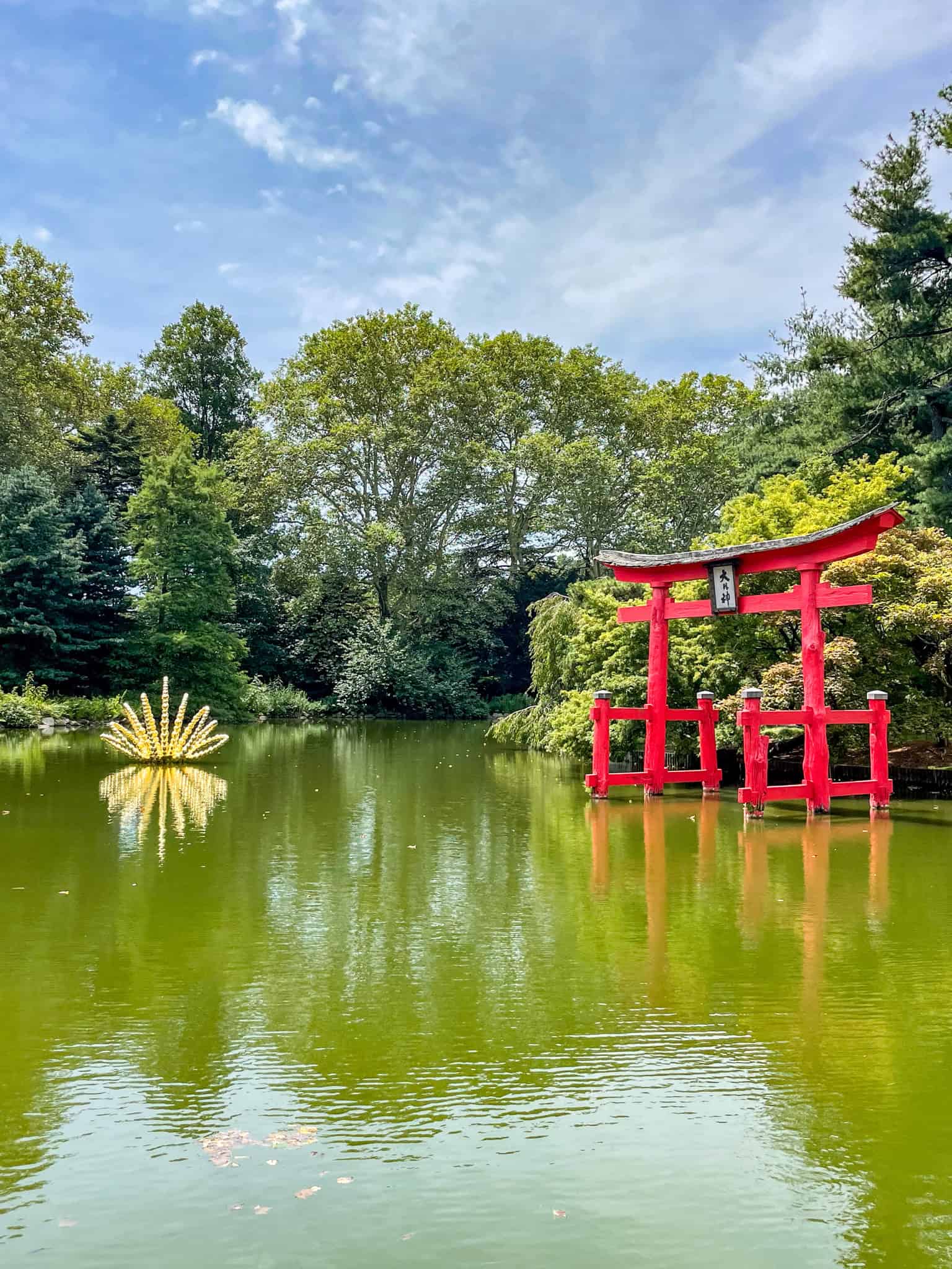 24 Free & Cheap Date Ideas NYC For Romance on a Budget | Your Local's Guide