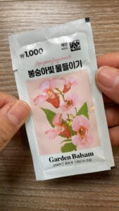 Korean Nail Stain: All-Natural Garden Balsam Nails 🌺 | Your Local's Guide