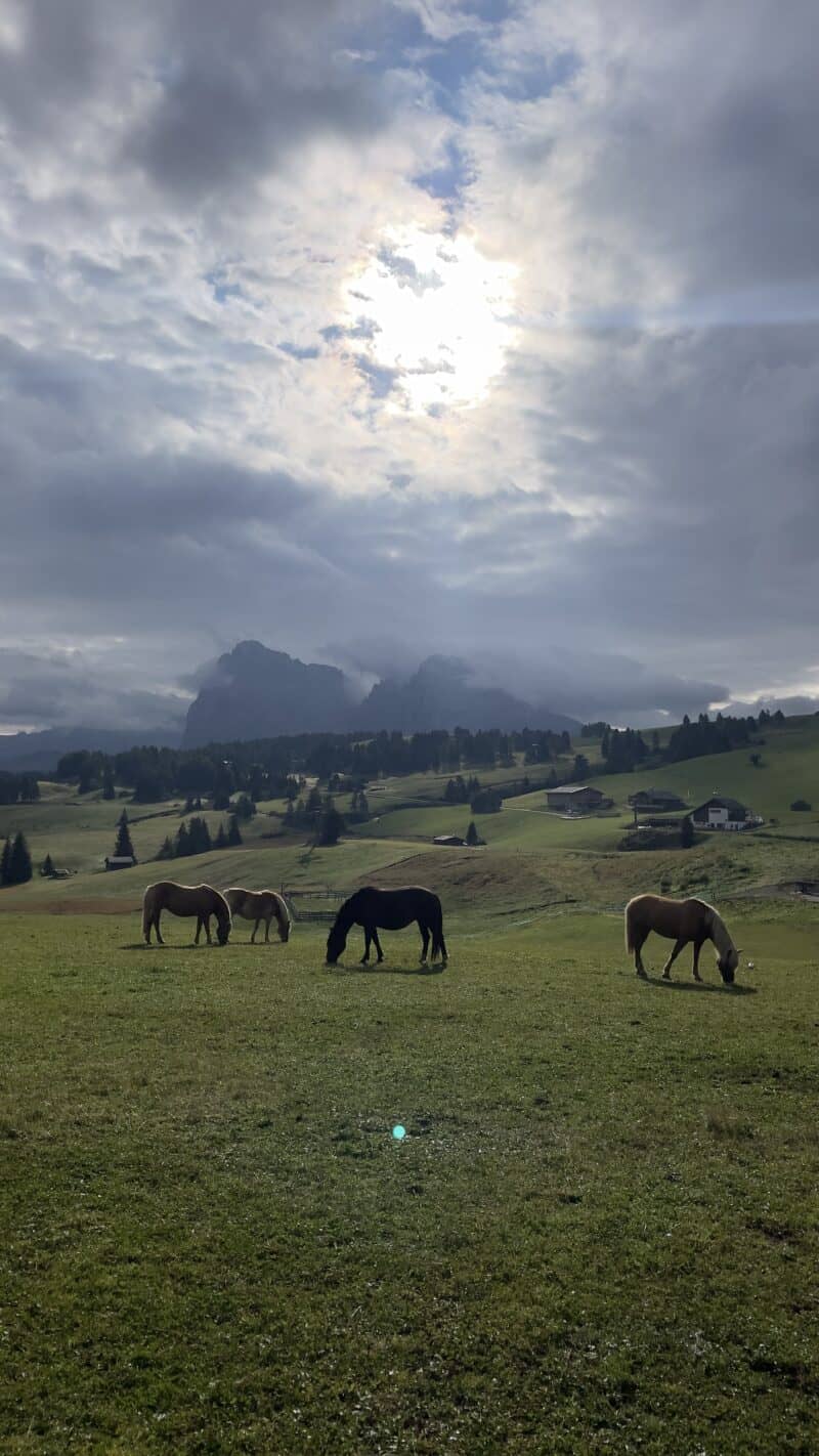 Dolomites Hut to Hut Hiking 3 Days (Loop Trail) | Your Local's Guide